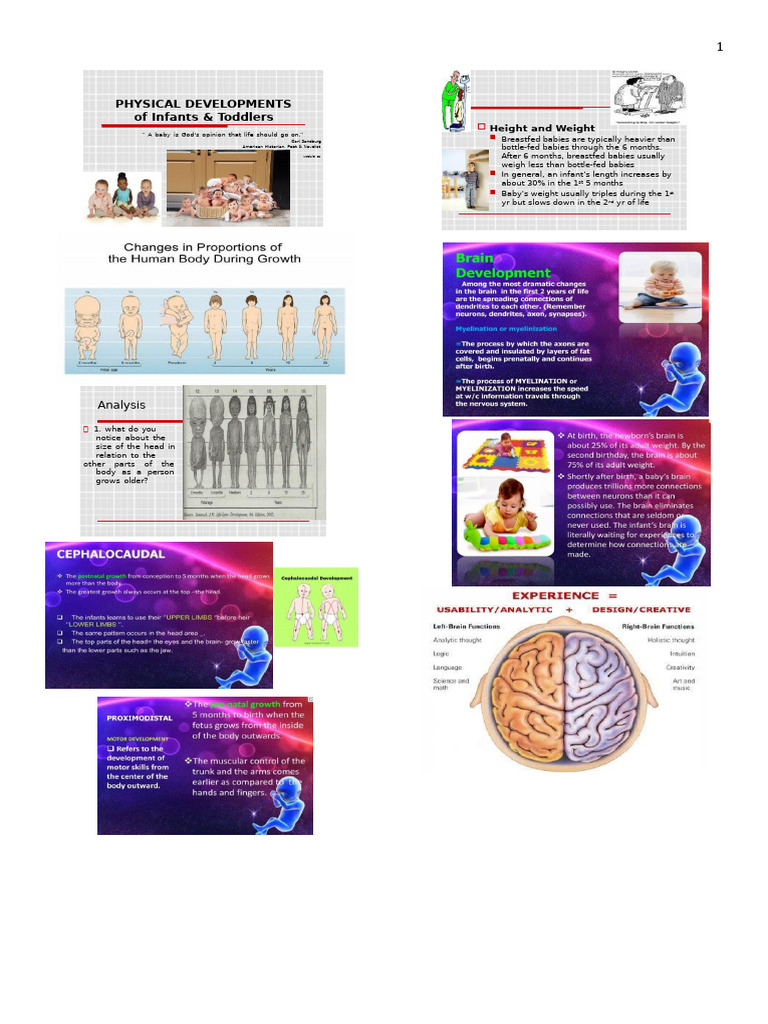 On Physical Cog and Socio | PDF | Infants | Temperament