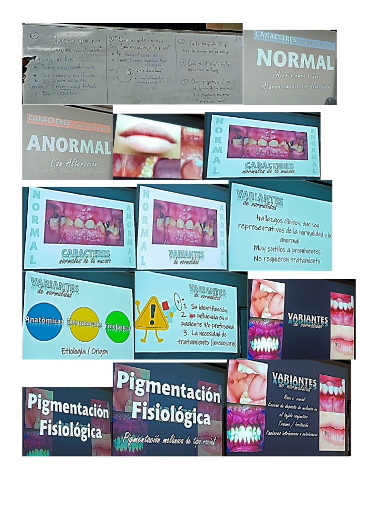 Normal y Anormal | PDF