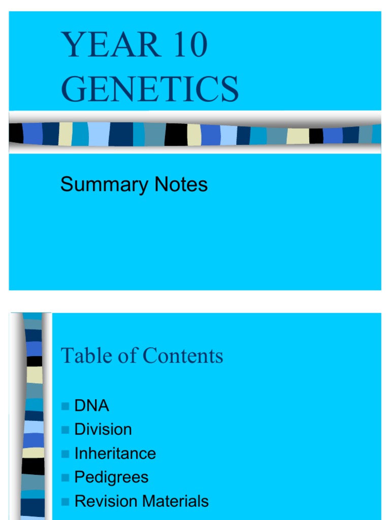 Year 10 Genetics | PDF