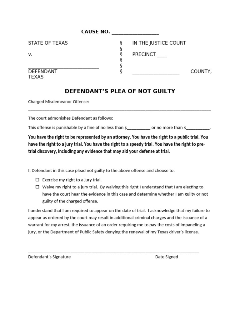 Texas Misdemeanor Not Guilty Plea Form | PDF