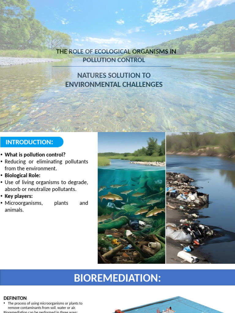 Role of Biological Organisms in Pollution Control | PDF | Water ...