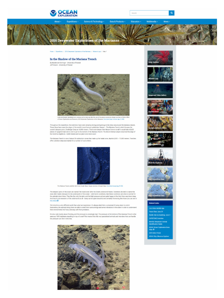Oceanexplorer Noaa Gov Okeanos Explorations | PDF