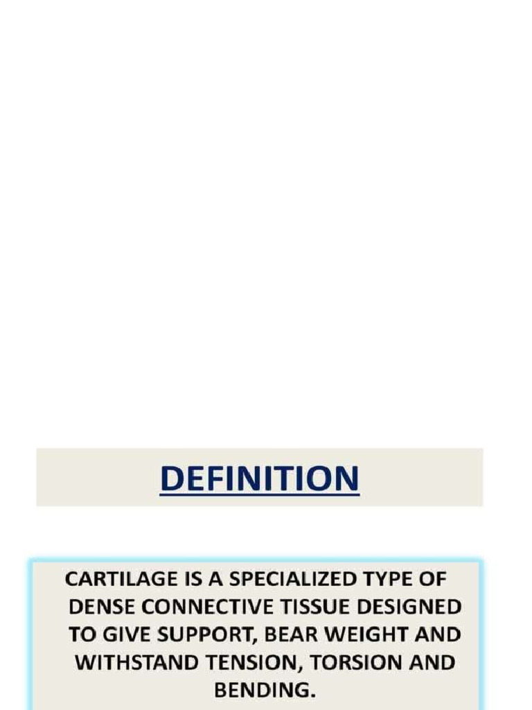 Anatomy of Cartilage | PDF