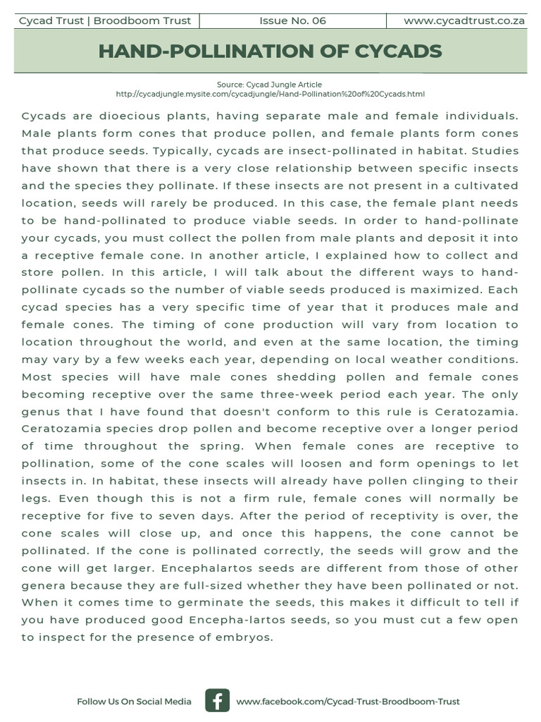 Hand-Pollination of Cycads | PDF | Pollination | Plant Reproduction