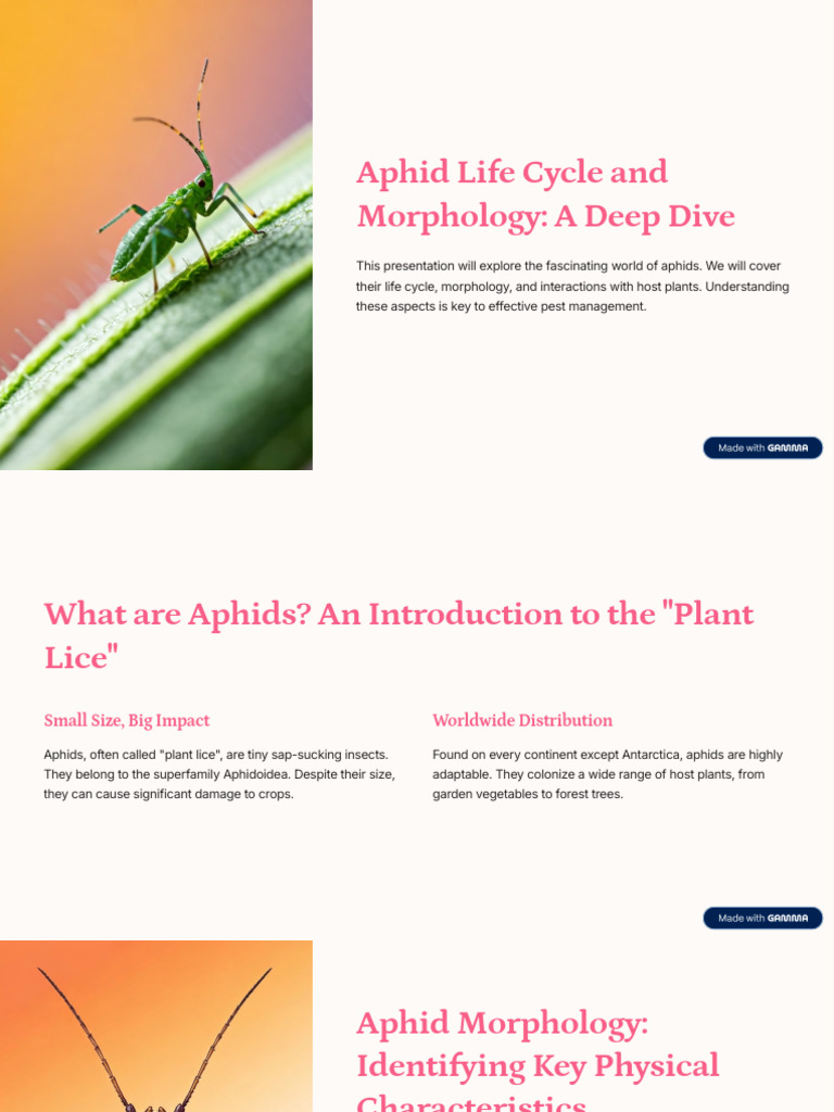 Aphid Life Cycle and Morphology A Deep Dive | PDF | Zoology | Organisms