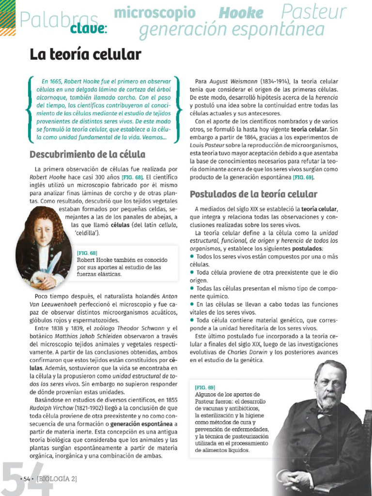 teoria celular | PDF