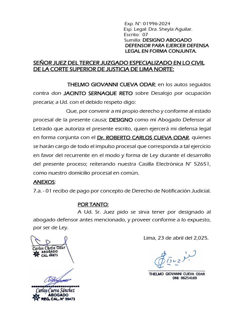 Exp. 1996-2024 - Designo Abogado Defensor | PDF