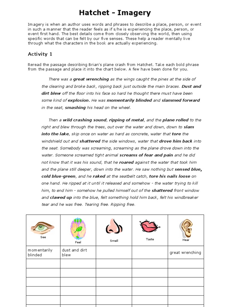 Imagery Analysis in Hatchet Excerpts | PDF | Candy