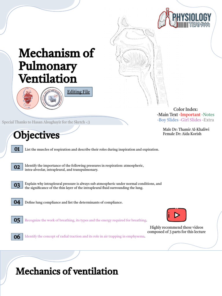 L2) Mechanism of Pulmonary Ventilation | PDF | Lung | Respiratory Tract