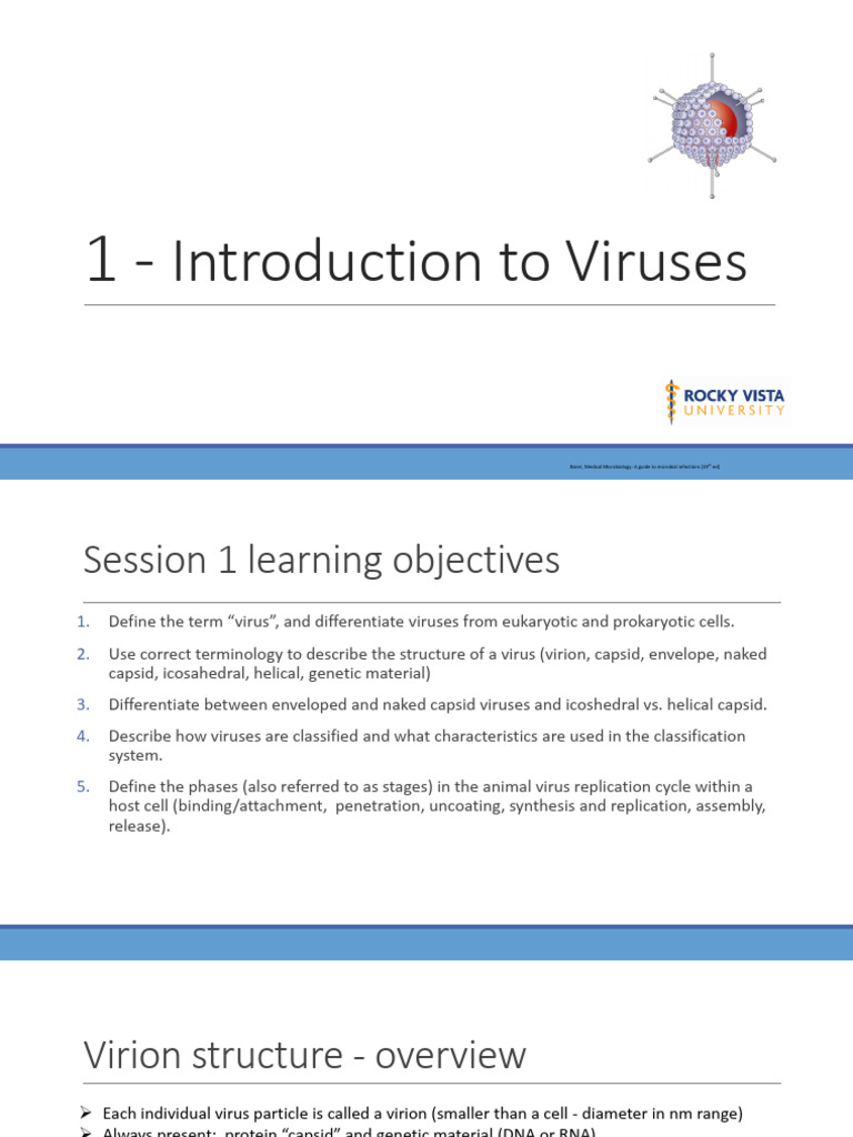 1 - Introduction To Viruses | PDF | Virus | Dna