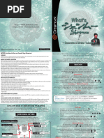 Guia Completo do Nintendont | PDF | Wii | USB