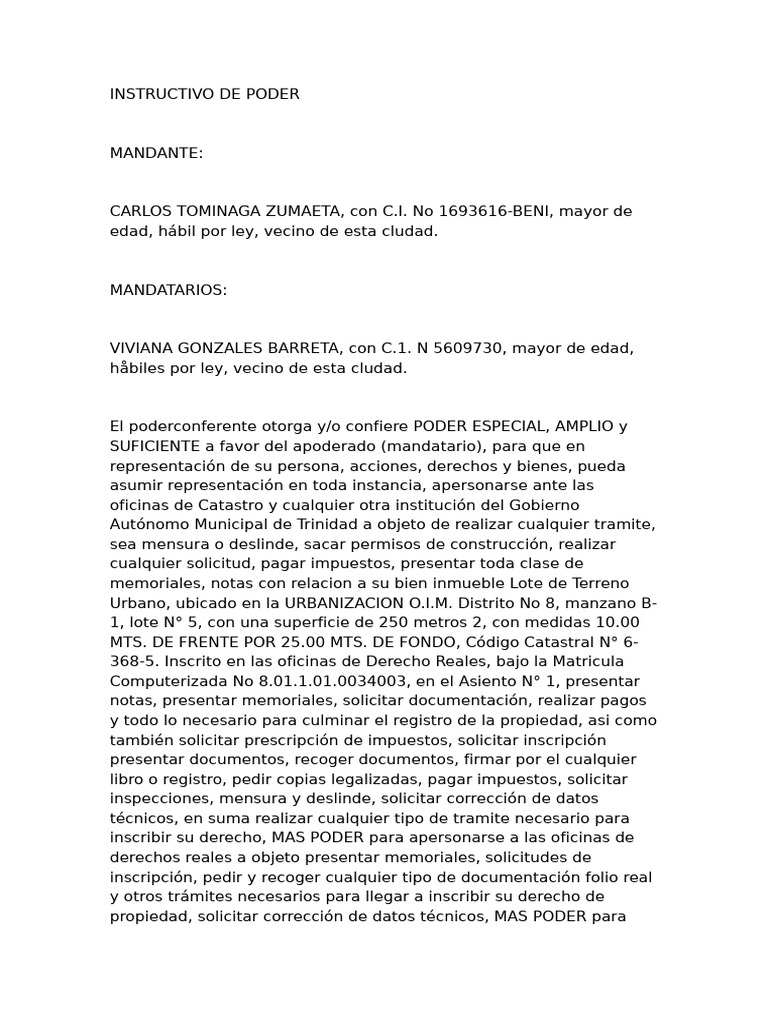 Instructivo de Poder | PDF