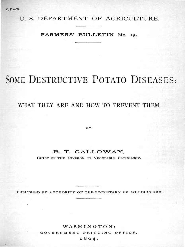 Some Destructive Potato Diseases 1894 | PDF | Potato | Agriculture