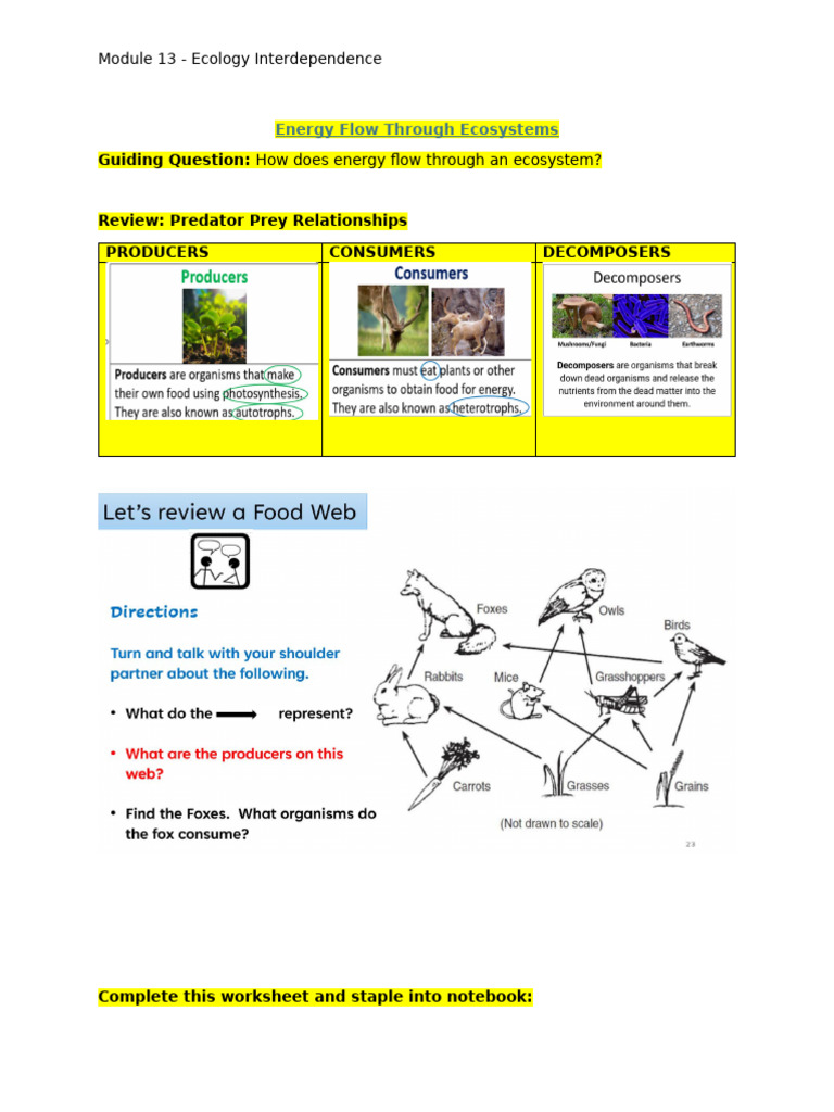 2425 BIO Module 13 Ecology Notes | PDF | Water Cycle | Ecology