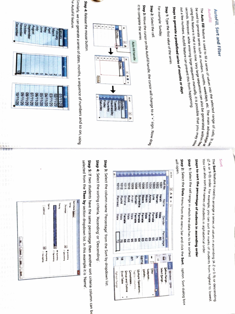 Excel Sorting and Conditional Formatting Guide | PDF | Computing | Software