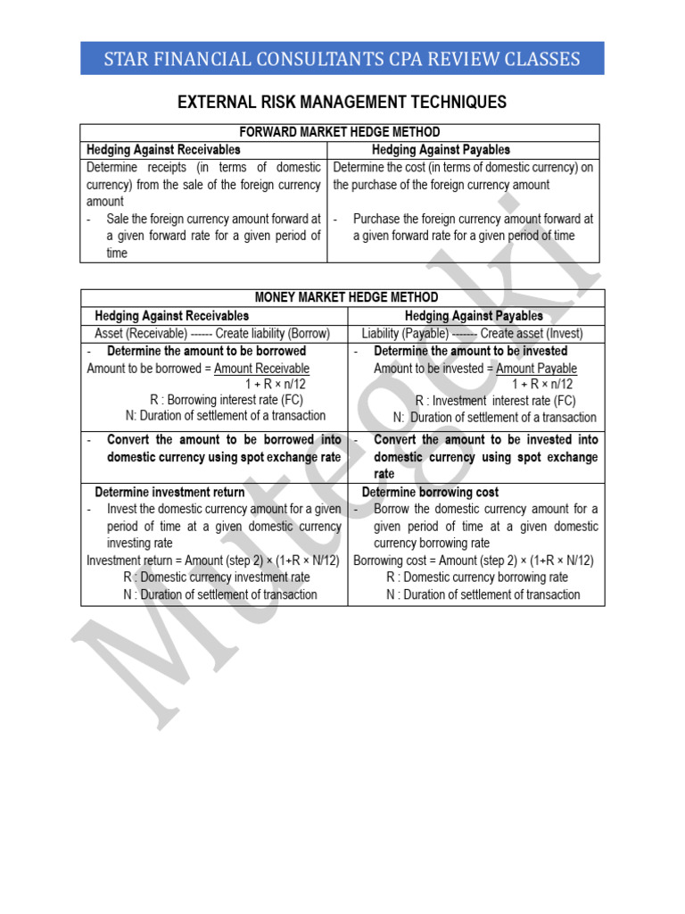 Risk Management Hedging Techniques | PDF