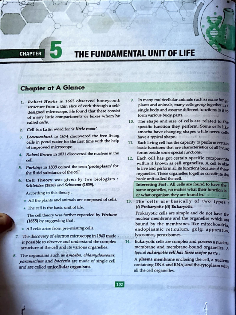 Chapter 5 - Cell - Structural and Functional Unit of Life | PDF