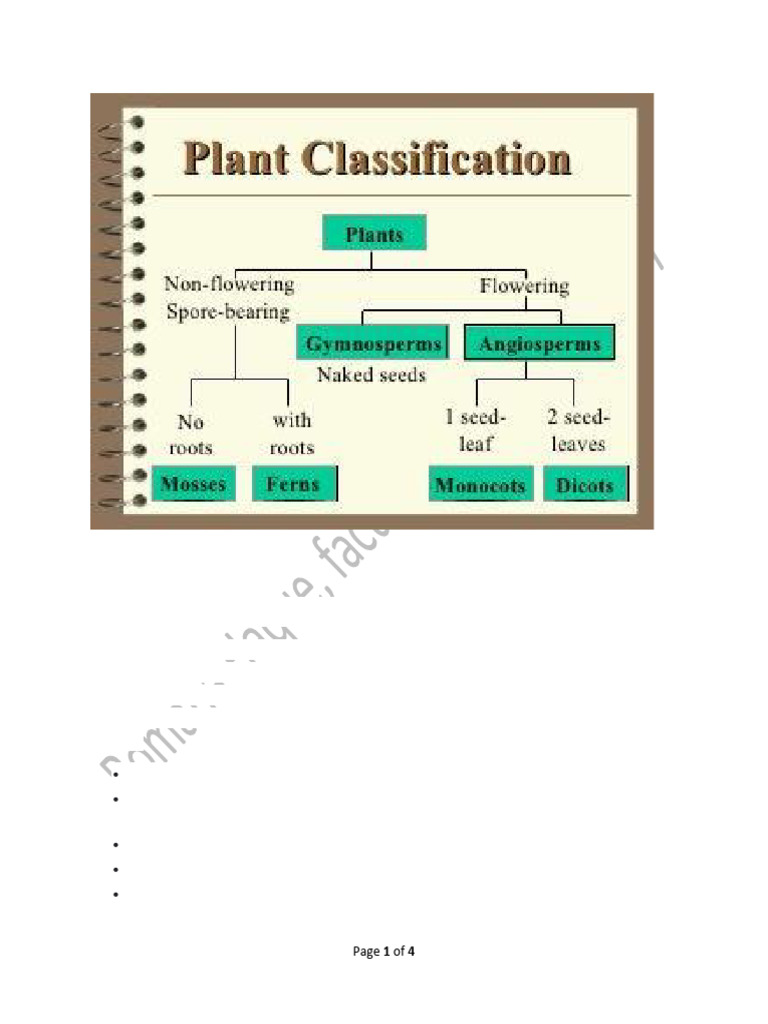 Ferns and Plant Classification Overview | PDF