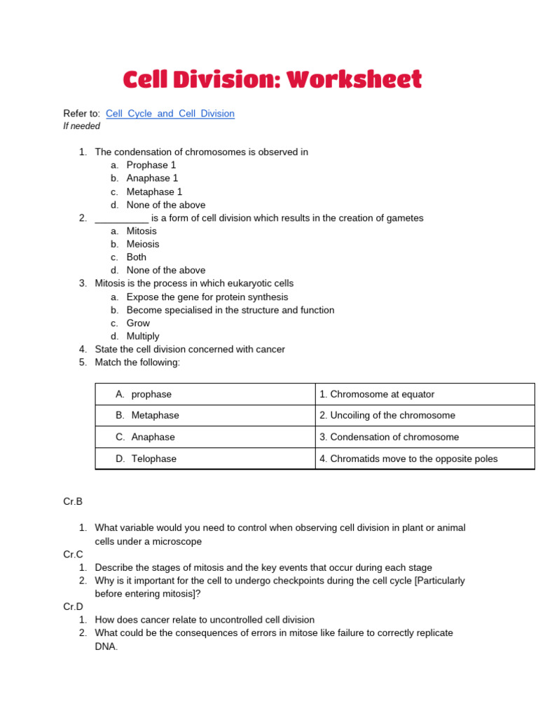 Cell Division Worksheet and Key Concepts | PDF | Mitosis | Meiosis