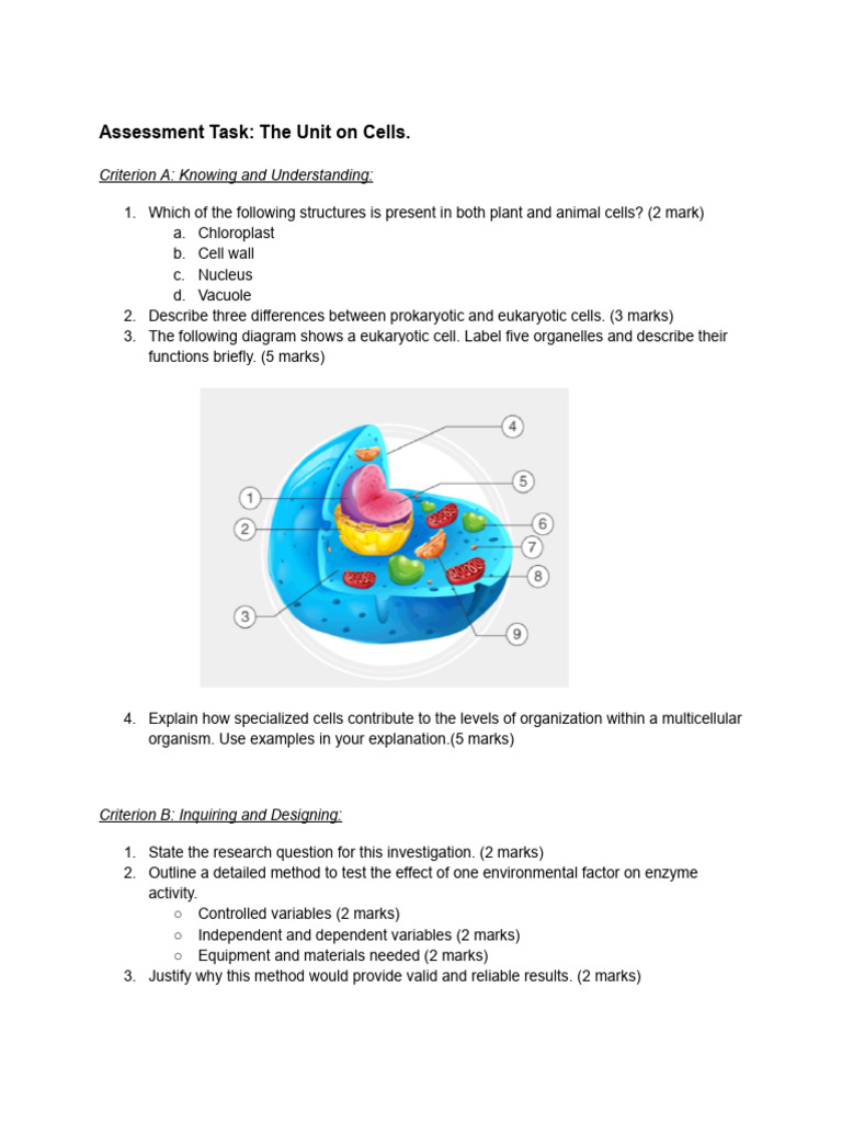 Understanding Cells: Structure and Ethics | PDF | Cell (Biology ...