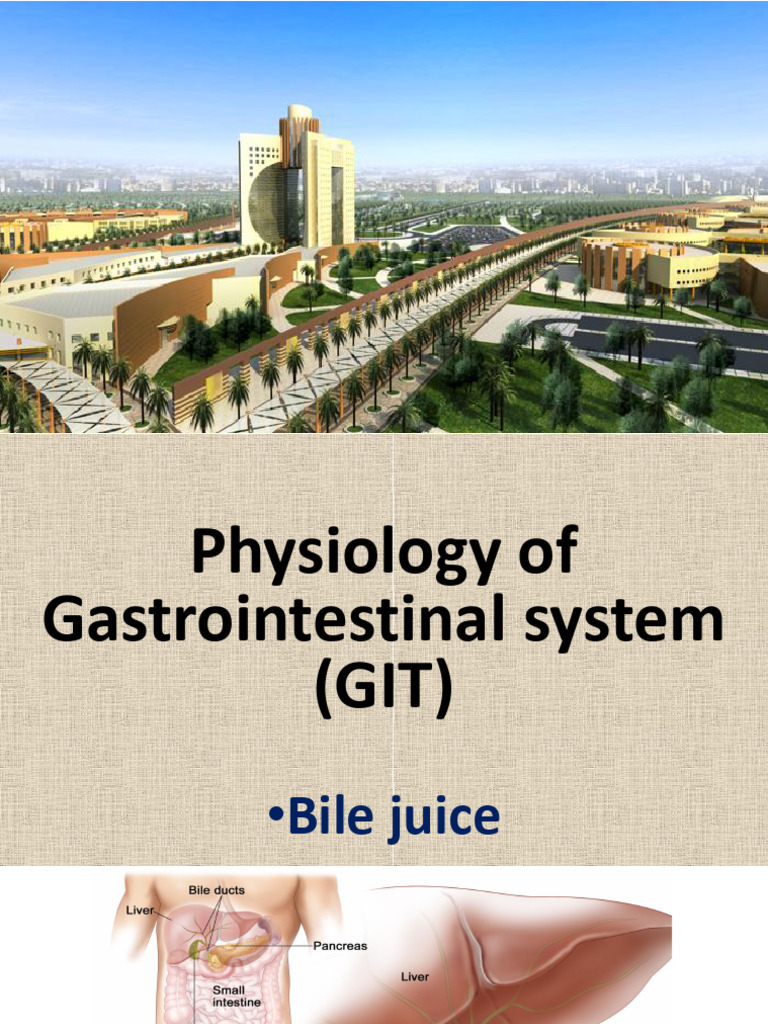 Functions of Bile and Liver Physiology | PDF | Bile | Liver