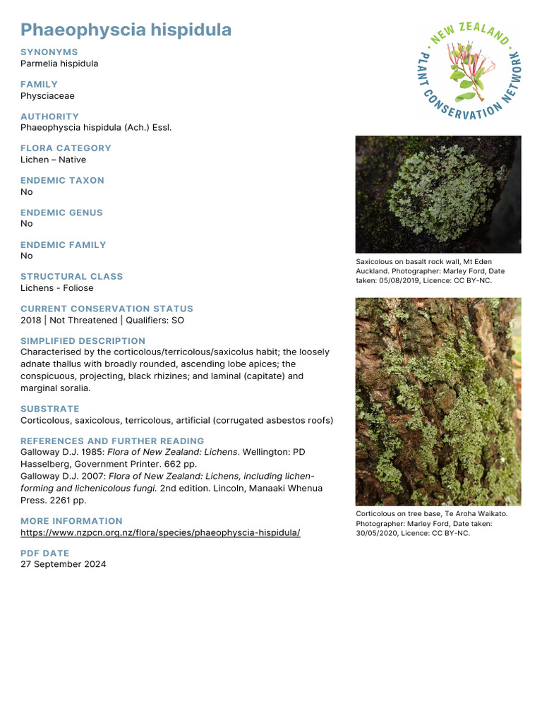 Phaeophyscia hispidula Overview | PDF