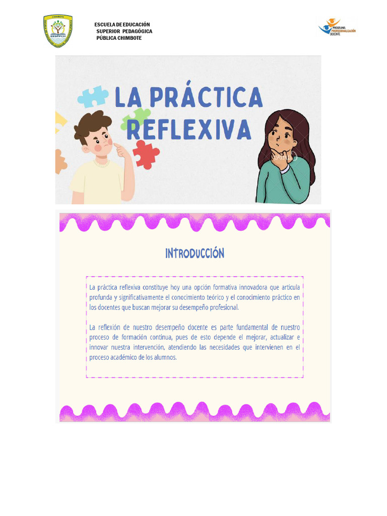 FICHA SOBRE LA PRACTICA REFLEXIVA | PDF