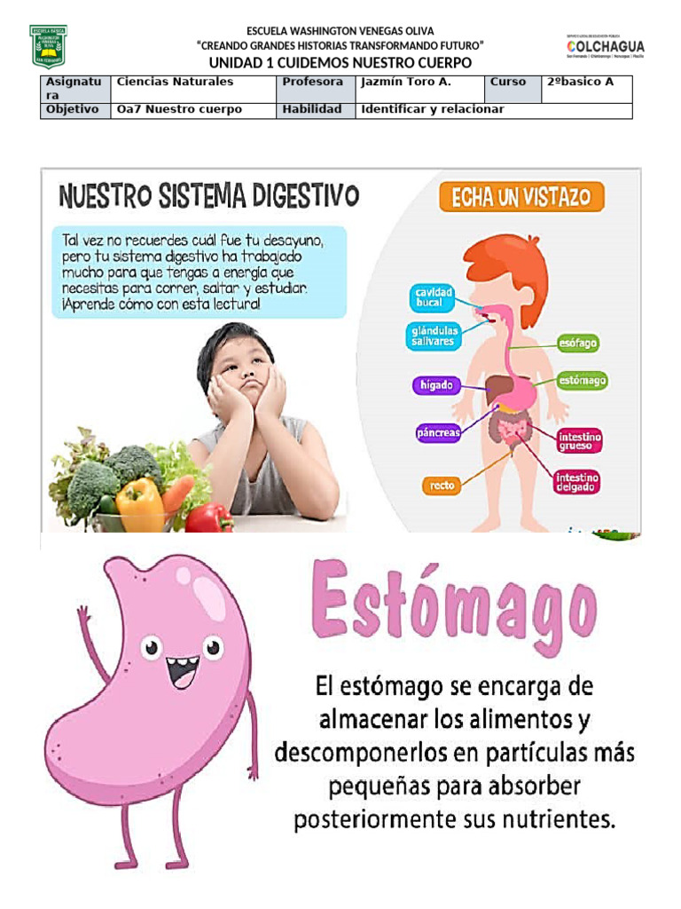 Cuidado del Cuerpo en Ciencias Naturales | PDF