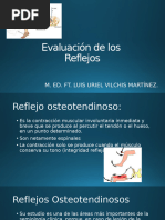 Reflejos Superficiales y Profundos | PDF | Codo | Pie