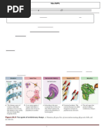 Evolution Notes Class 12 | PDF | Evolution | Natural Selection