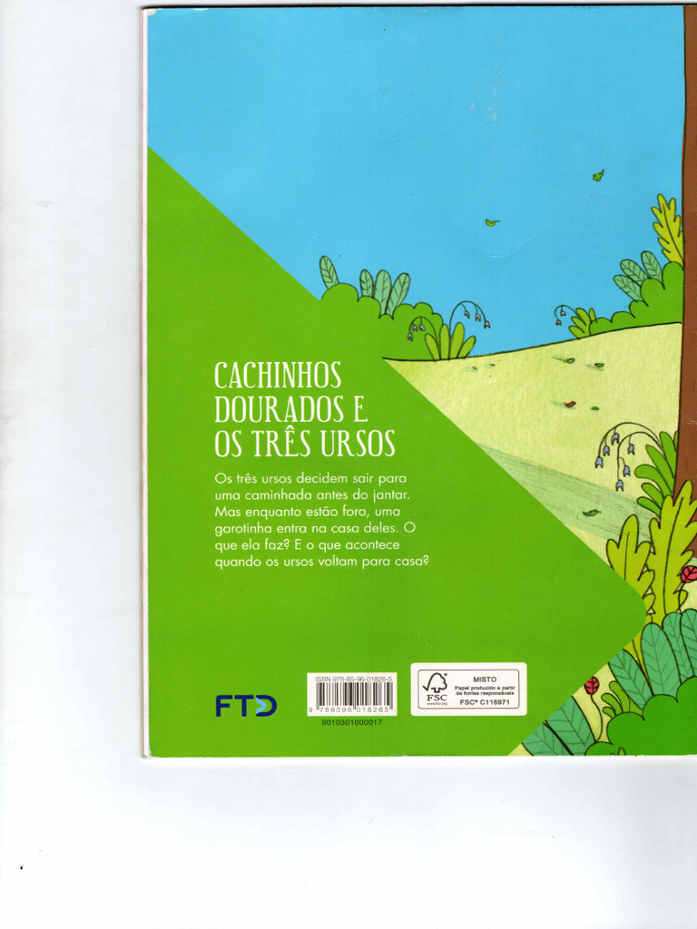 Capa e Contra Capa | PDF