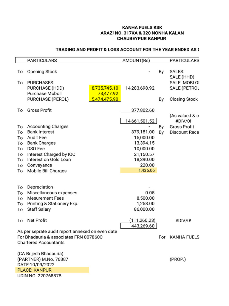 SBI Bank Balance Summary Report | PDF | Banks | Balance Sheet
