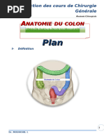 Anatomie chirurgicale du colon humain | PDF | Gros intestin | Anatomie