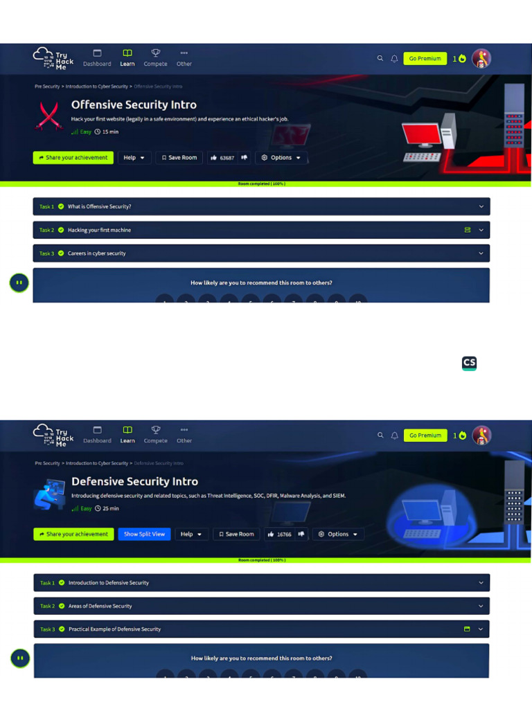 First Ass Cyber | PDF