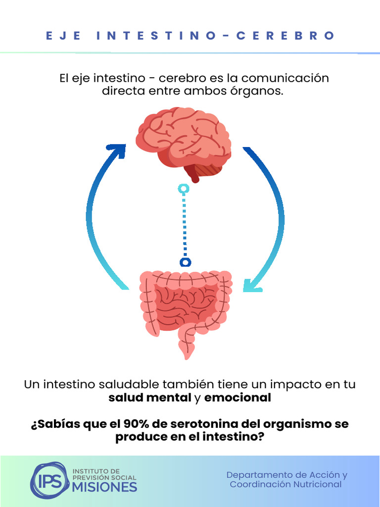 Eje Intestino-Cerebro y Salud Mental | PDF