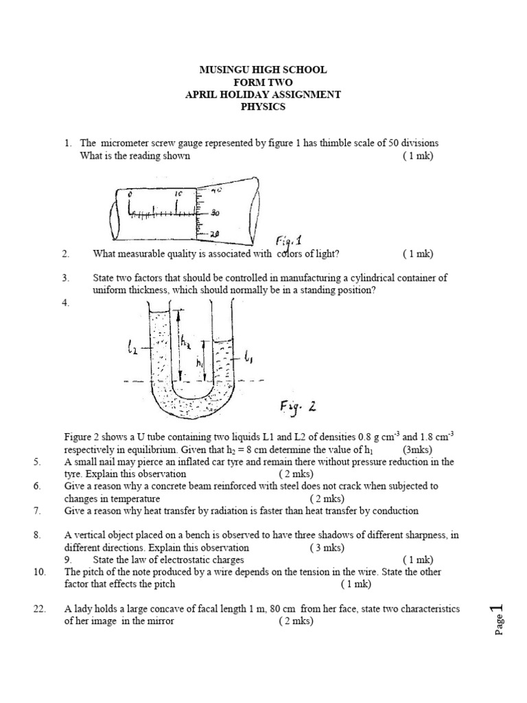 Form Two Physics Holiday Assignment | PDF | Force | Liquids