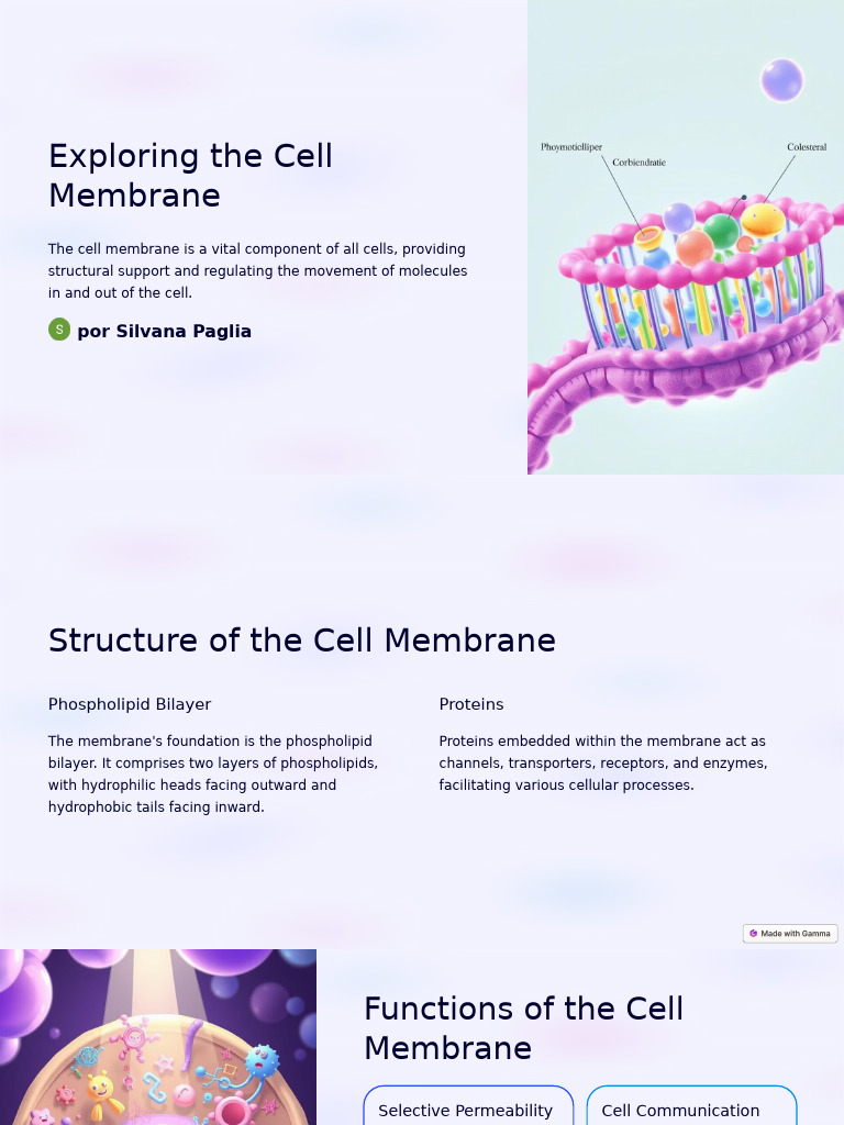 Exploring The Cell Membrane | PDF | Cell Membrane | Cell (Biology)