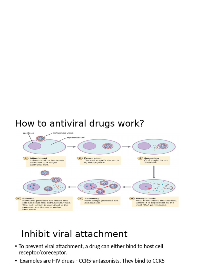 Presentation 1 | PDF