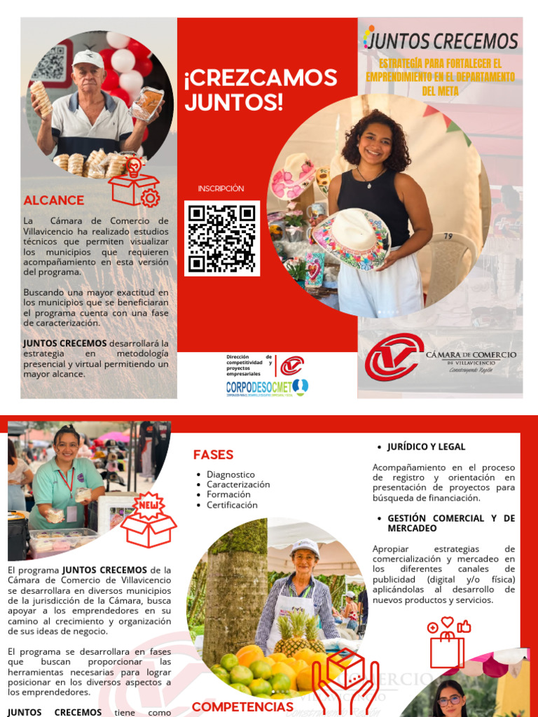 Juntos Crecemos Meta | PDF | Iniciativa empresarial | Marketing