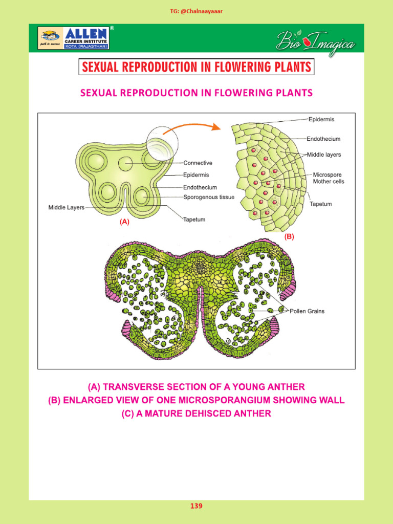 Ch.15 Reproduction In Flowering Plants | PDF