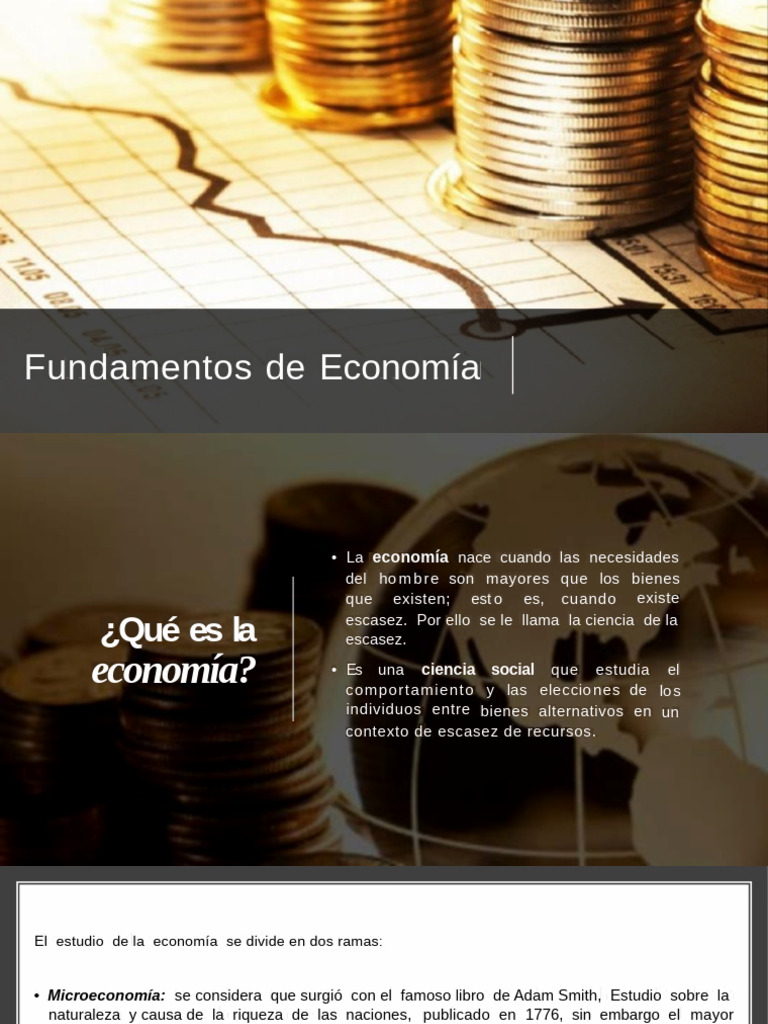 Presentacion Prope Economia Modelo | PDF | Ciencias económicas | Economias