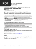 CAP Protocol for Neuroendocrine Tumors | PDF | Pancreas | Metastasis