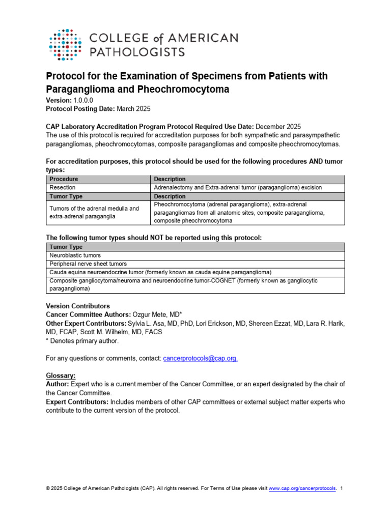 CAP 2025 Protocol For The Examination of Specimens From Patients With Paraganglioma and ...