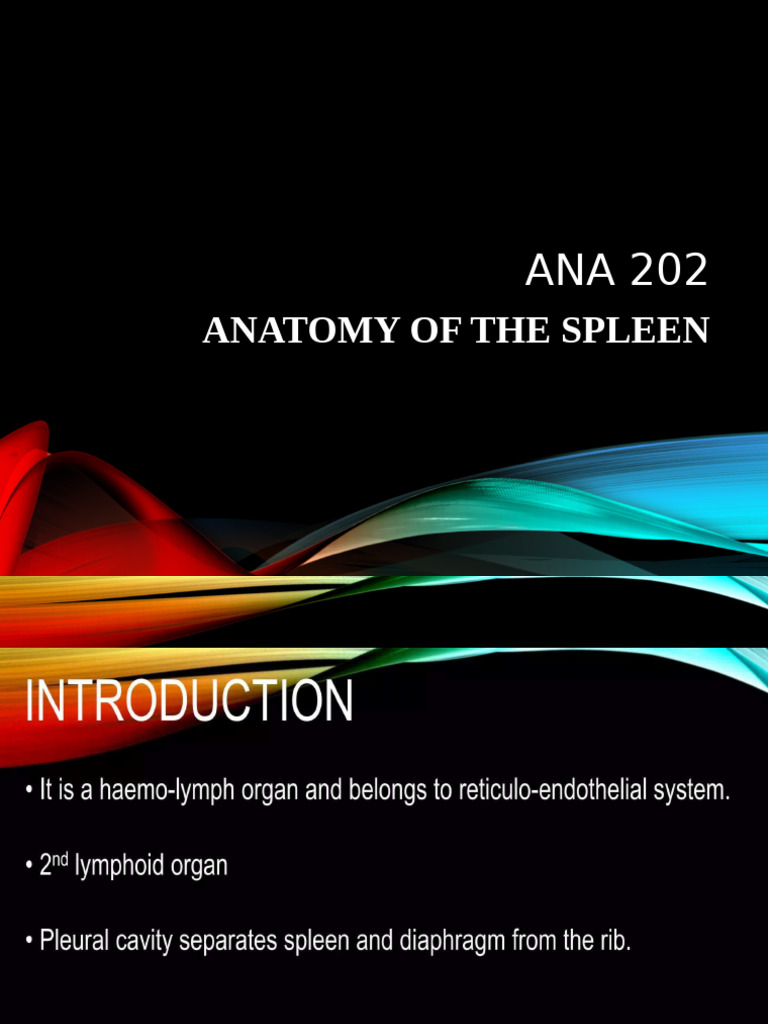 Anatomy of The Spleen | PDF