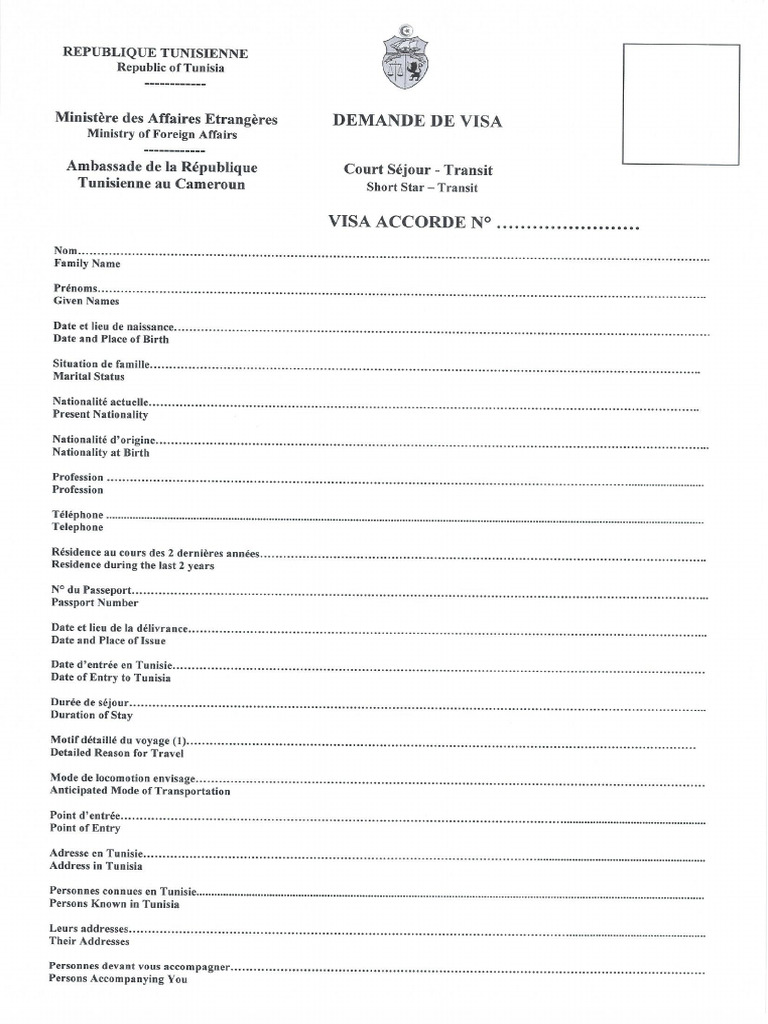 Formulaire Demande de Visas | PDF