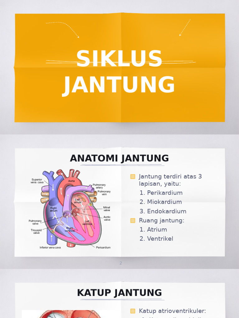 Siklus Jantung | PDF