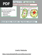 Cell Structure A Level Biology Notes | PDF | Wellness