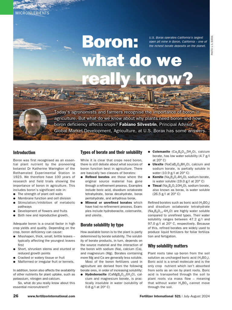 Boron_what_do_we_really_know__1731621007 | PDF | Boron | Plant Nutrition
