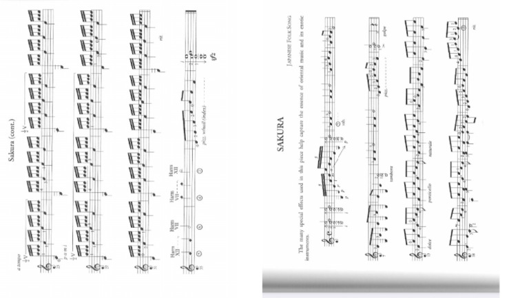 Sakura | PDF