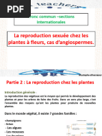 Le Carpelle : Organe des Angiospermes | PDF | Fruit | Embryon